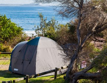 NRMA Shellharbour Beachside Holiday Park | Caravan and Camping